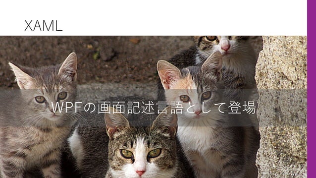 XAML入門 | PDF | Programming Languages | Computing