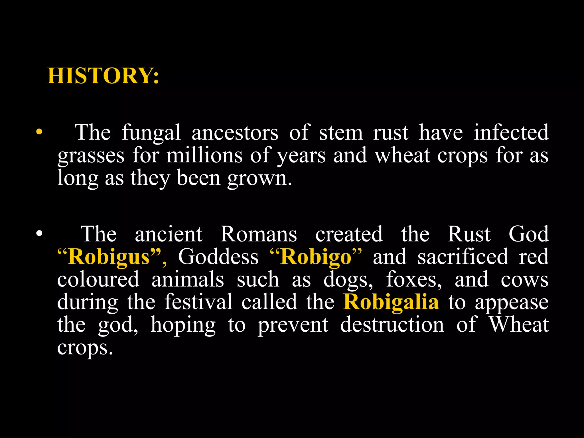Puccinia graminis | PPTX