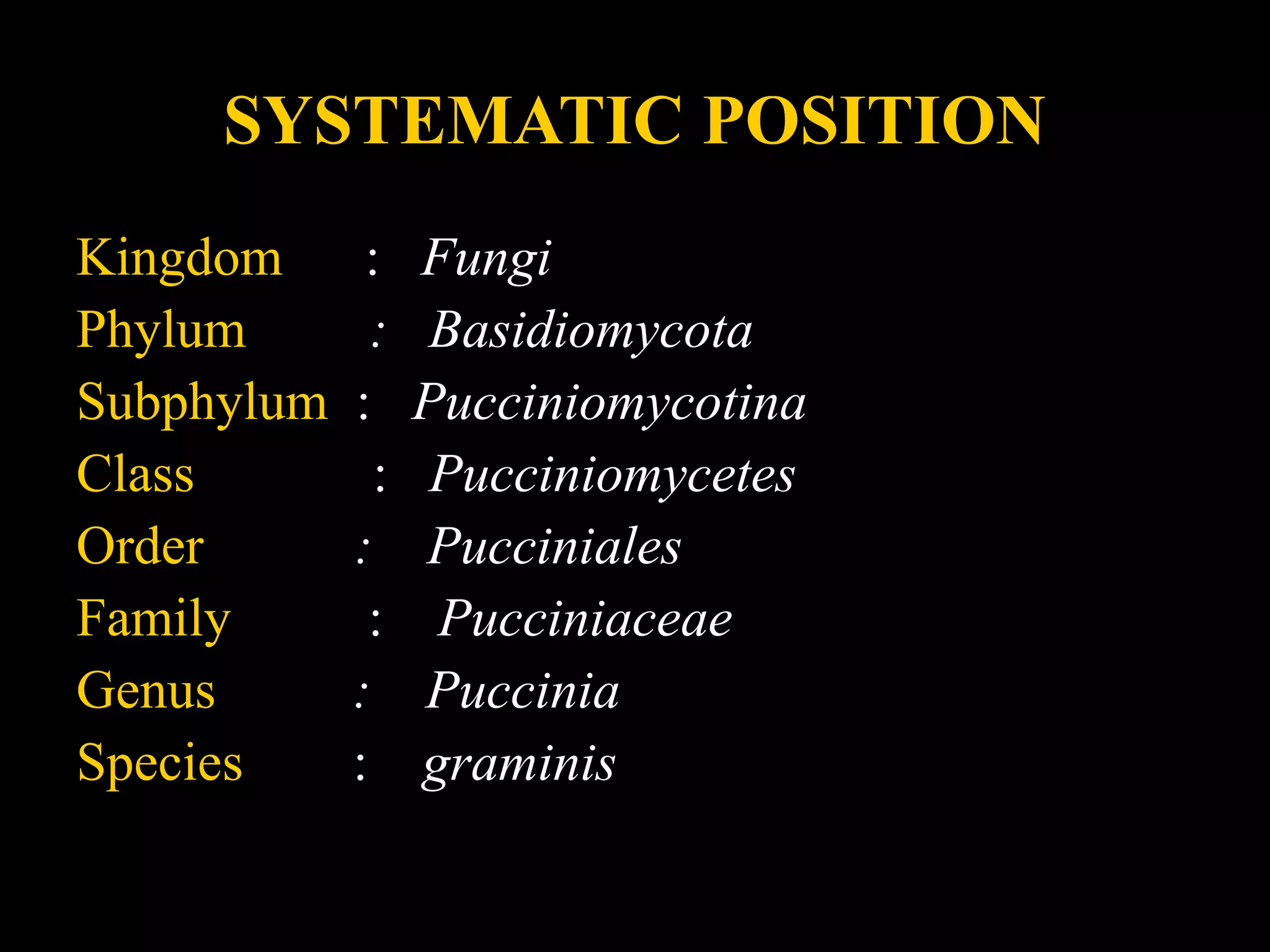 Puccinia graminis | PPTX