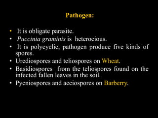 Puccinia graminis | PPTX