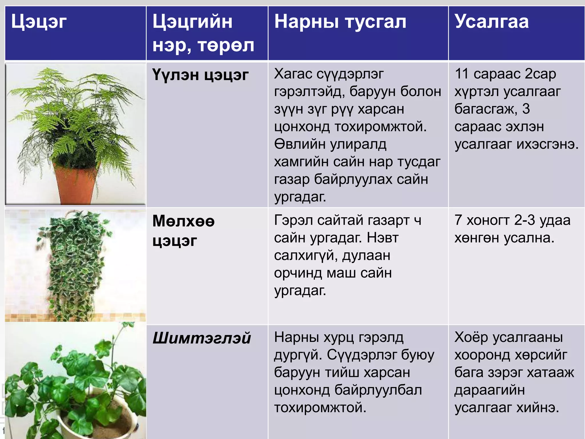 ЦЭЦГИЙН ТАЛААРХ СУДАЛГАА | PPTX