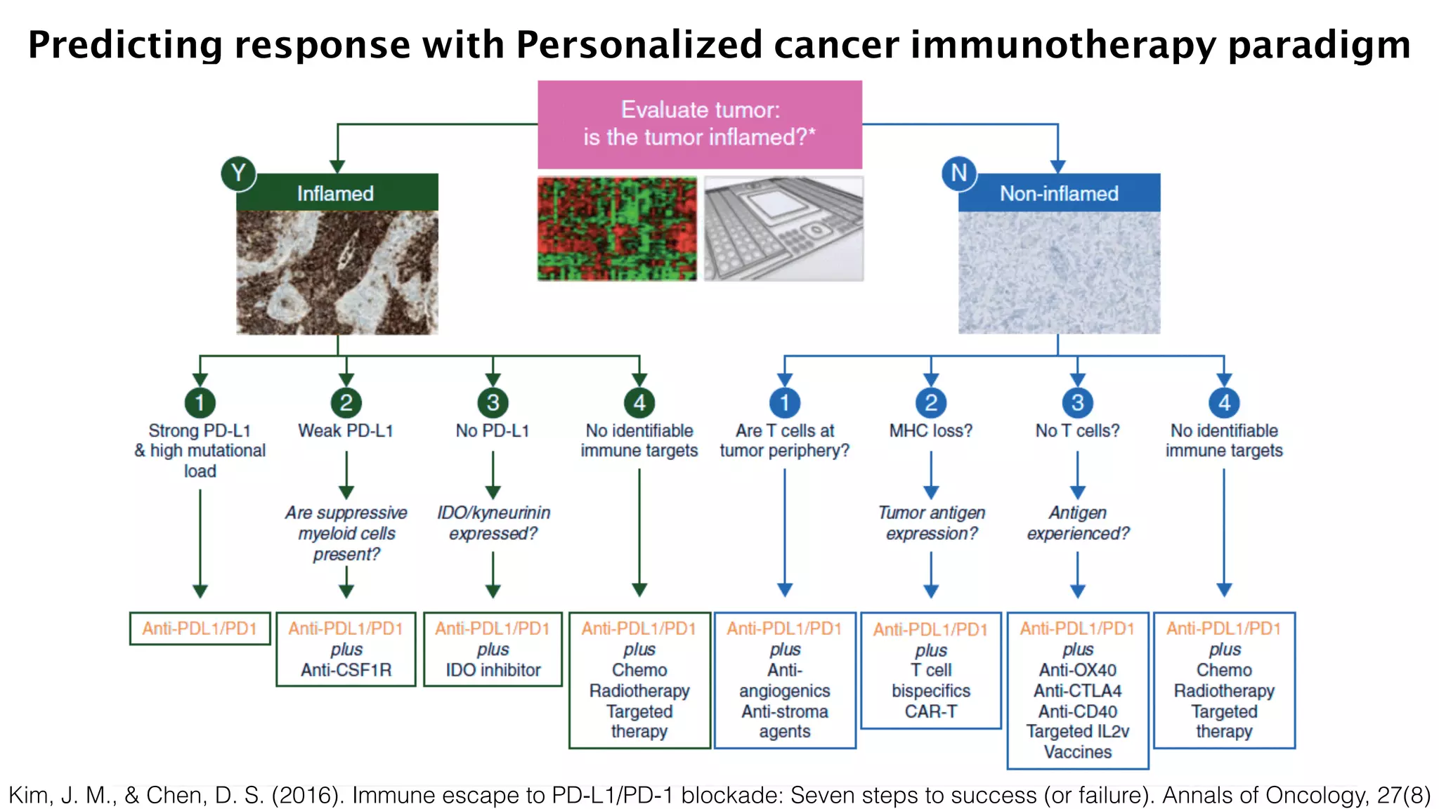 Elements of cancer immunity and the cancer-immune set point | PDF