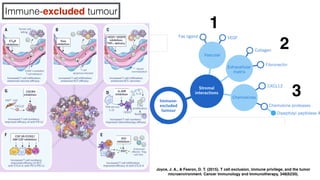 Elements of cancer immunity and the cancer-immune set point | PDF