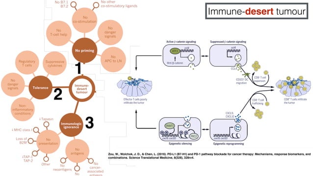 Elements of cancer immunity and the cancer-immune set point | PDF