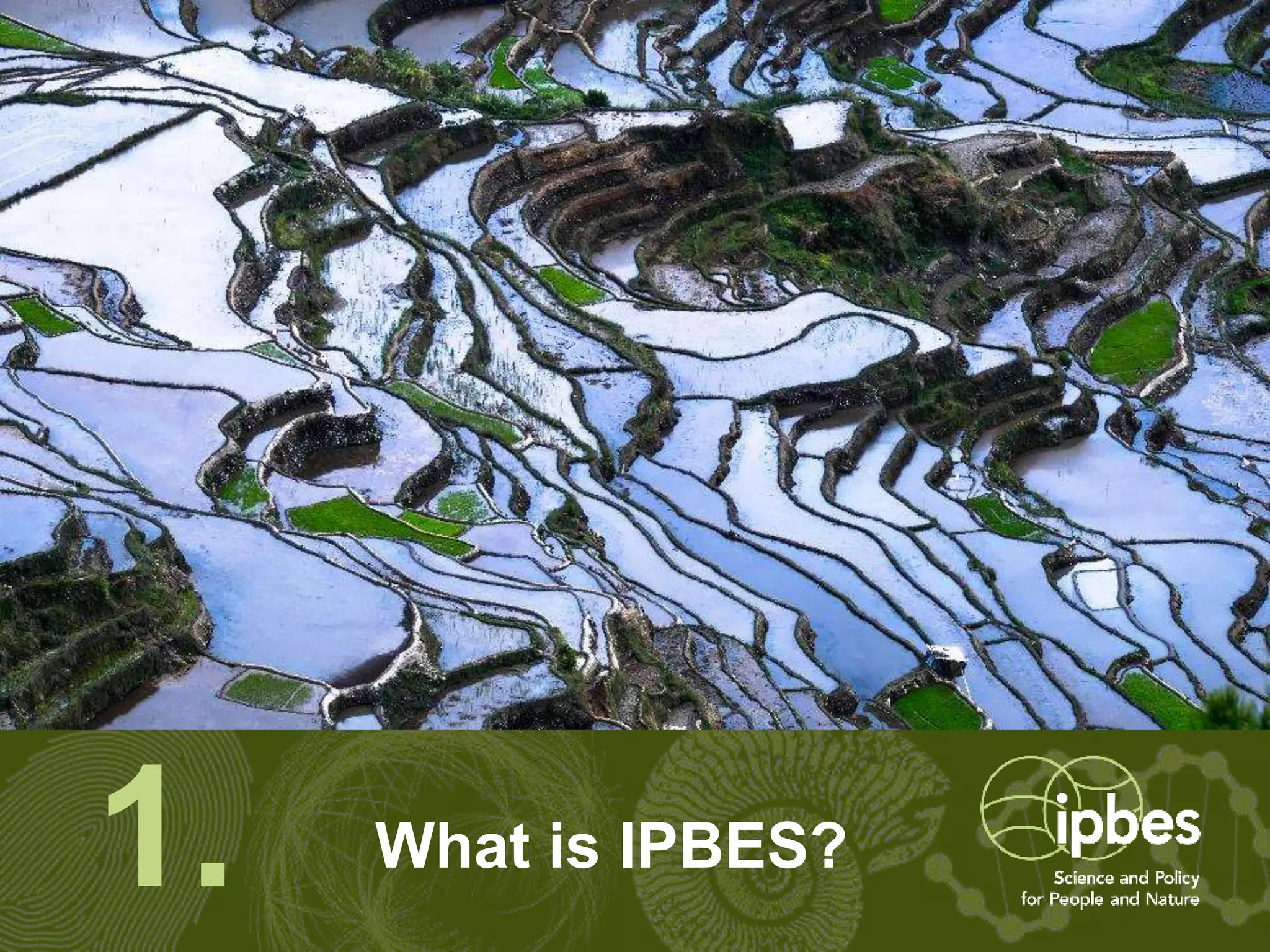 An Introduction to IPBES | PPTX