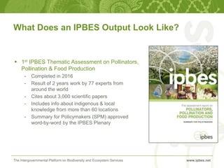 An Introduction to IPBES | PPTX