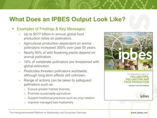 An Introduction to IPBES | PPTX
