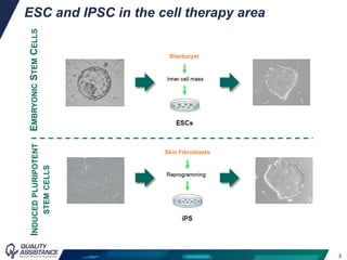 WEBINAR Characterisation of human pluripotent stem cells (ESCs and IPSC ...
