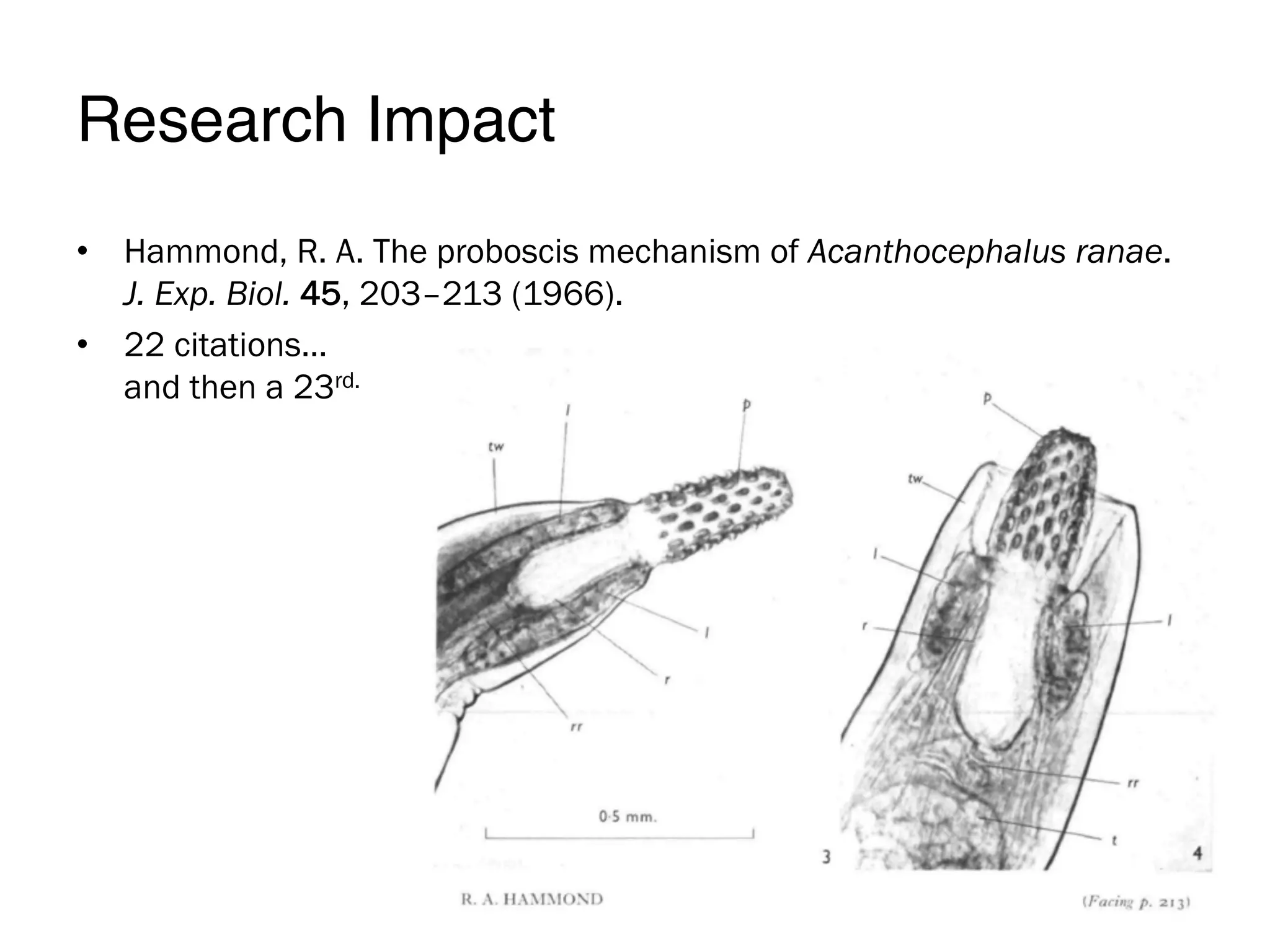 Principles and key responsibilities in RI, RDM, RIAs and their ...