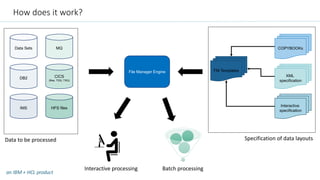 File Manager for z/OS - Overview | PDF