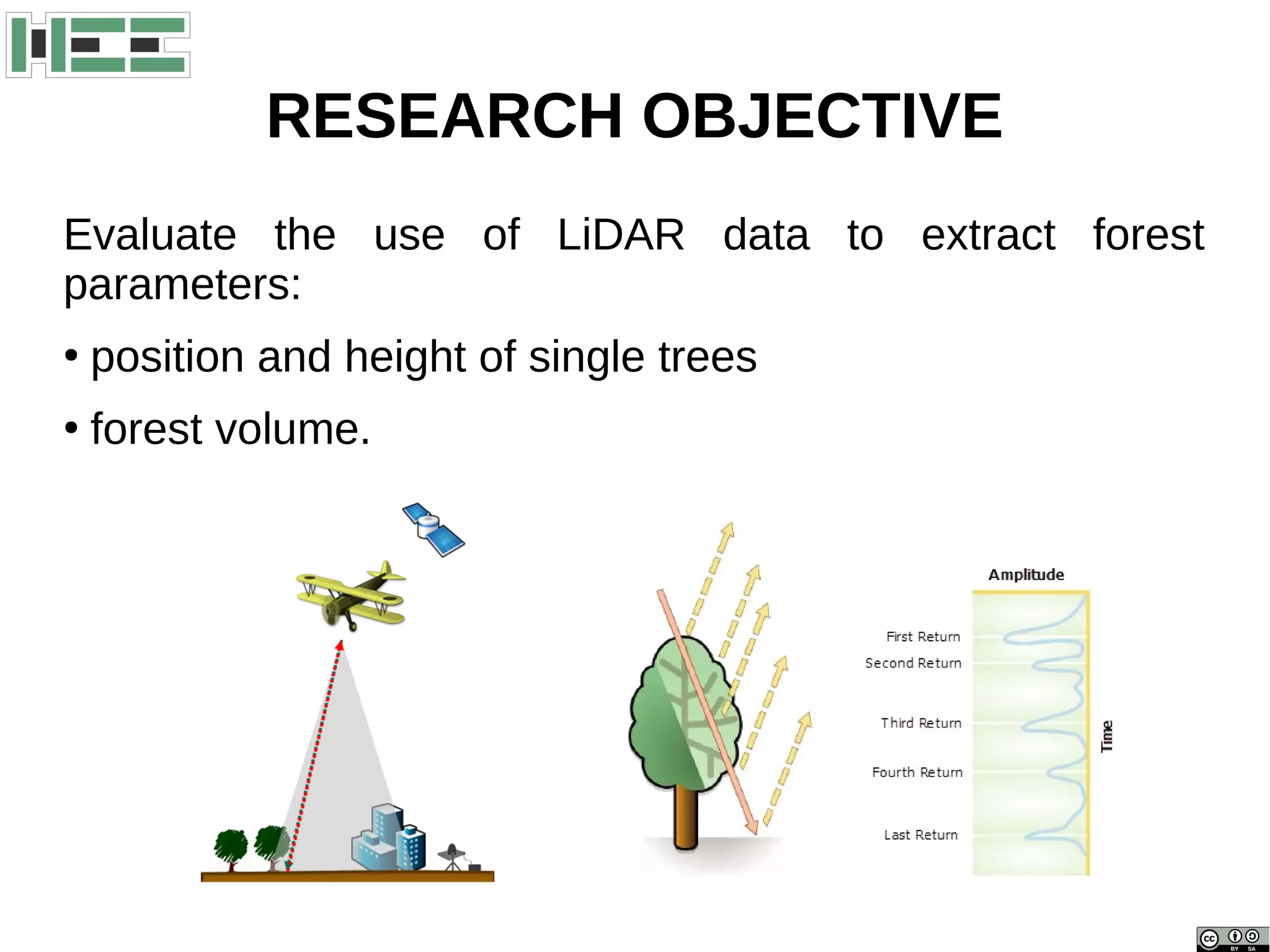 Application Of A Pattern Recognition Algorithm For Single Tree