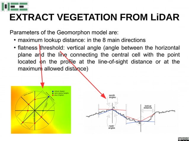 Application Of A Pattern Recognition Algorithm For Single Tree