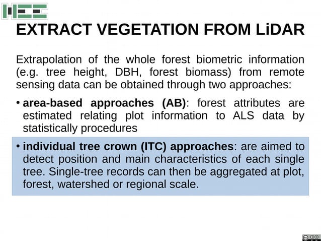 Application Of A Pattern Recognition Algorithm For Single Tree