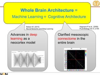 Whole Brain Connectomic Architecture to Develop General Artificial ...
