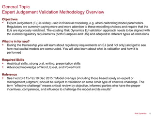 Risk Dynamics Internship | PPTX | Business Accounting & Finance | Business