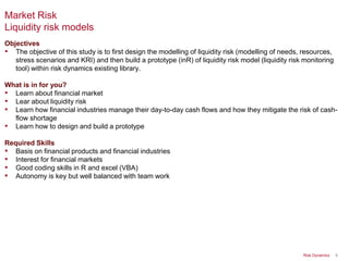 Risk Dynamics Internship | PPTX | Business Accounting & Finance | Business