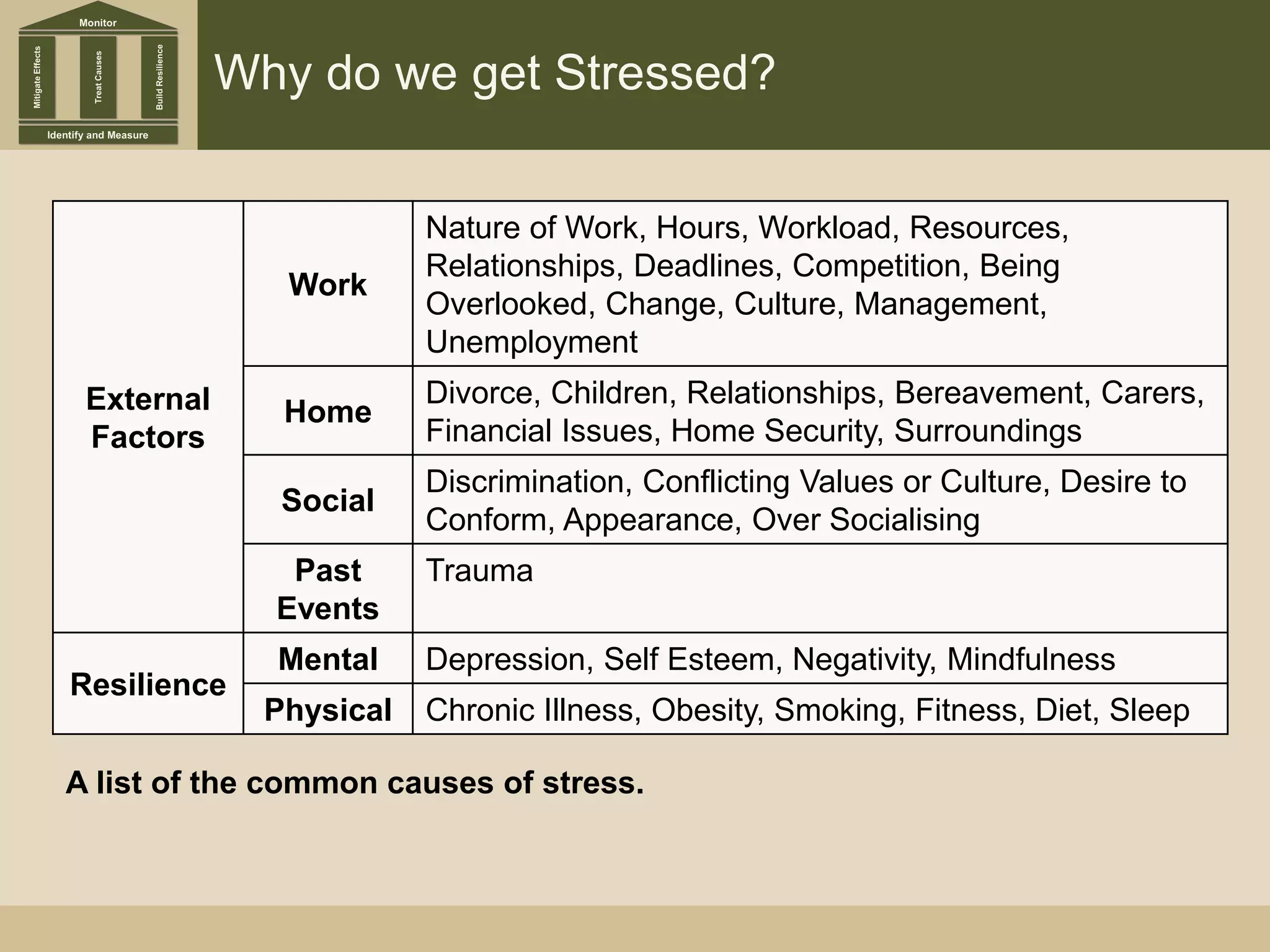 Stress Management: An Army Officer's Perspective | PDF