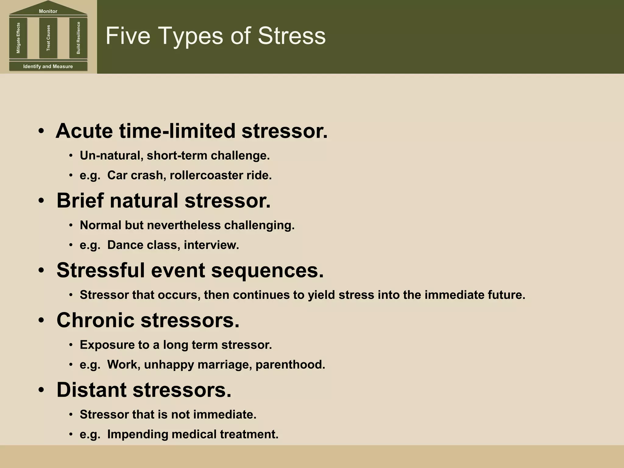 Stress Management: An Army Officer's Perspective | PDF