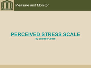 Stress Management: An Army Officer's Perspective | PDF