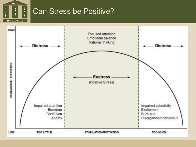 Stress Management: An Army Officer's Perspective