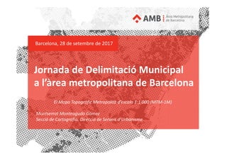 Mapa Topogràfic Metropolità 1:1.000. Característiques i estat actual | PDF