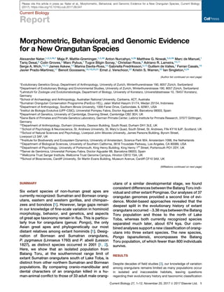 Pongo tapanuliensis, Orang Utan Species Novum from Sumatra | PDF