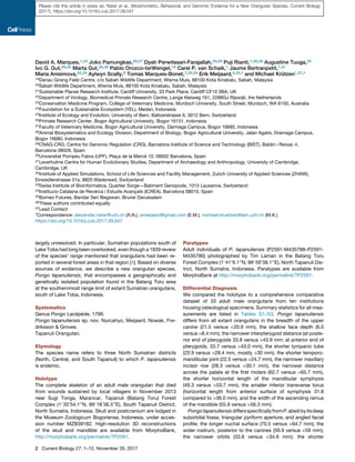 Pongo tapanuliensis, Orang Utan Species Novum from Sumatra | PDF