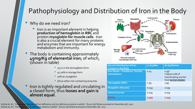 Treatment of Iron Deficiency Anemia in Adults | PDF | Blood Disorders ...