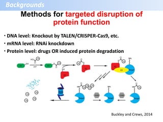 Protein degradation by TRIM-Away, a novel tool learned from innate ...