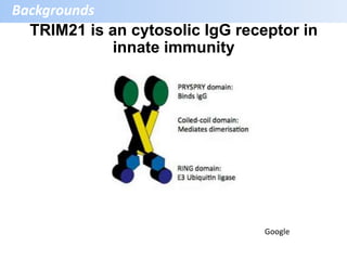Protein degradation by TRIM-Away, a novel tool learned from innate ...
