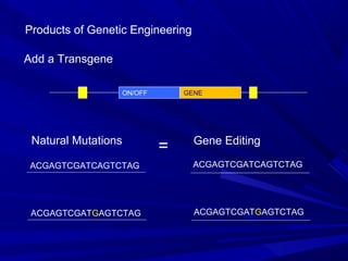 Gene Editing in Ag and Medicine | PPT