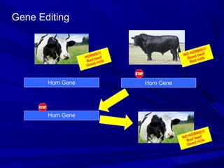 Gene Editing in Ag and Medicine | PPT