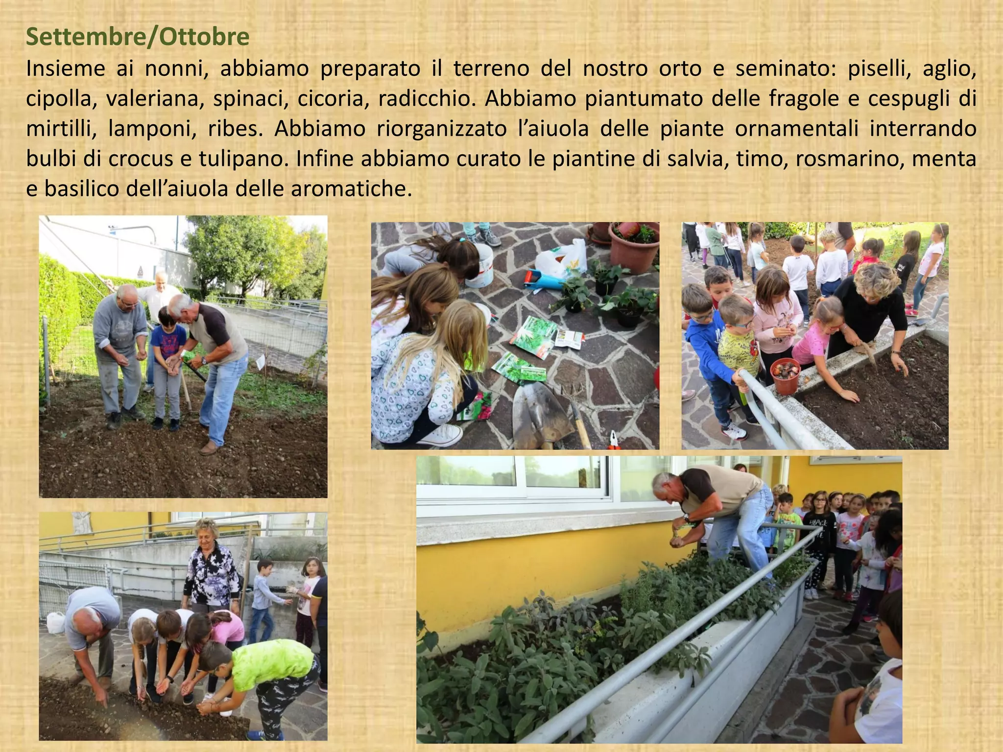 progetto orto | PDF