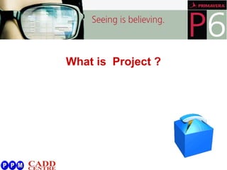 Primavera Project Management | PPT