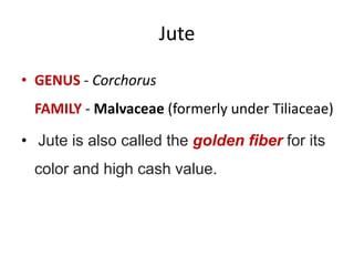 breeding for stress resistance in jute | PPTX