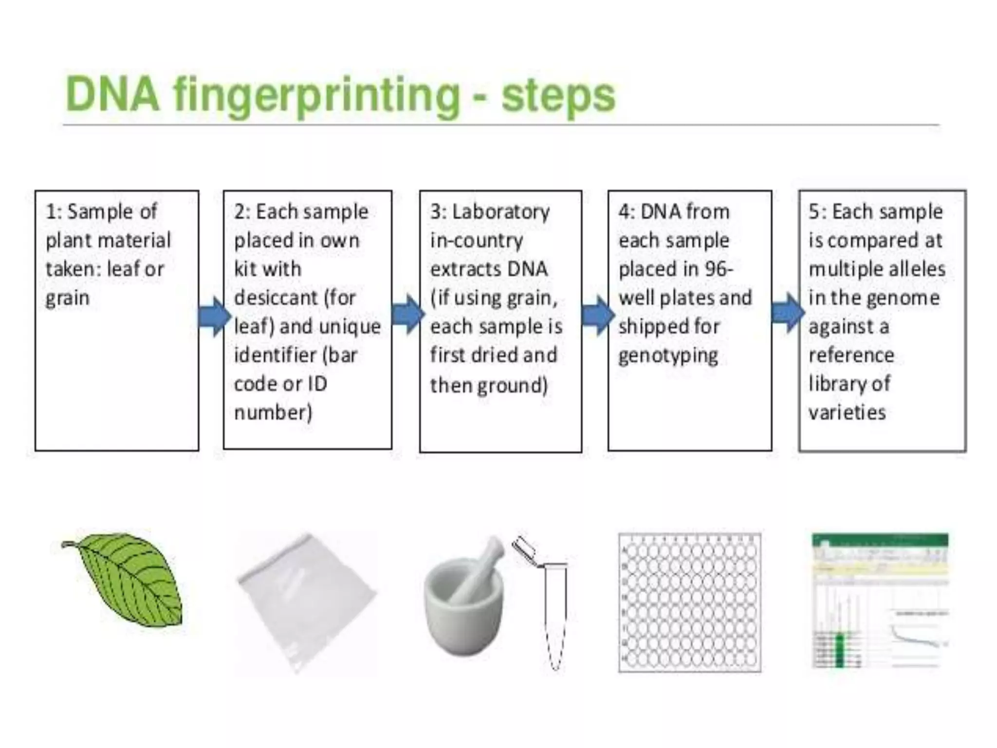 fingerprinting | PPT
