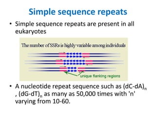 fingerprinting | PPT