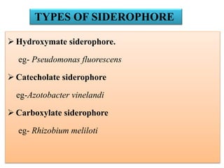 Siderophore: Secretion of Bacteria as a Chelating Agent | PPTX