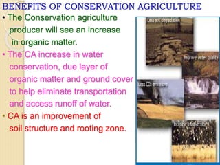 Resource Conservation Technology for Management of Soil Health | PPT