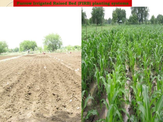 Resource Conservation Technology for Management of Soil Health | PPT | Agriculture | Industries