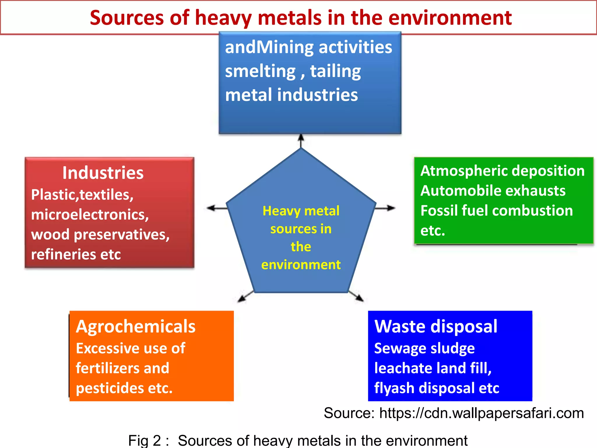 Phytoremediation of Heavy metals A GREEN TECHNOLOGY TO CLEAN SOIL | PPT