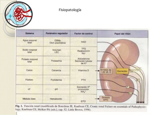 2017 Falla renal aguda en cuidados criticos cardiovasculares