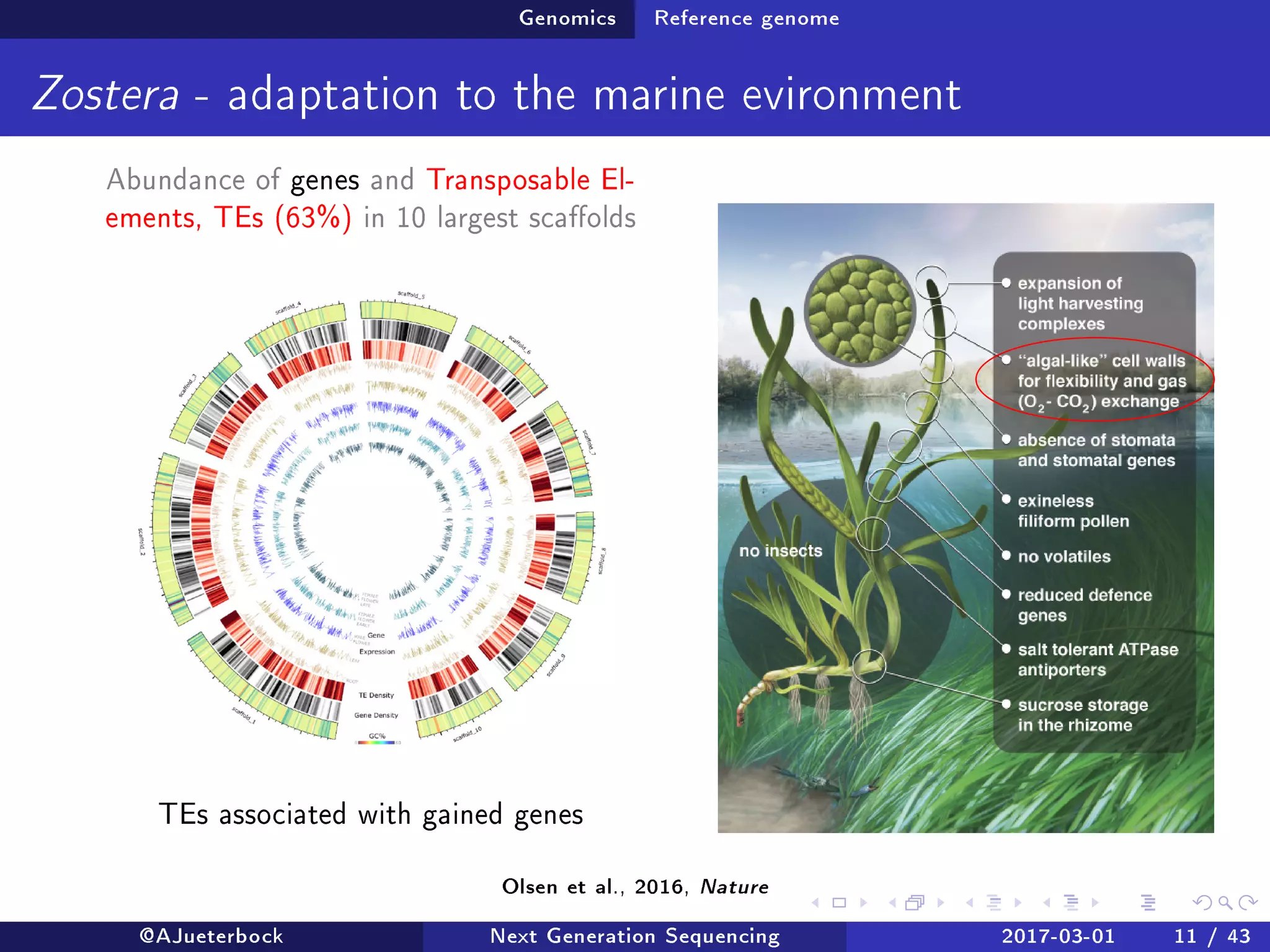 A decade into Next Generation Sequencing on marine non-model organisms ...