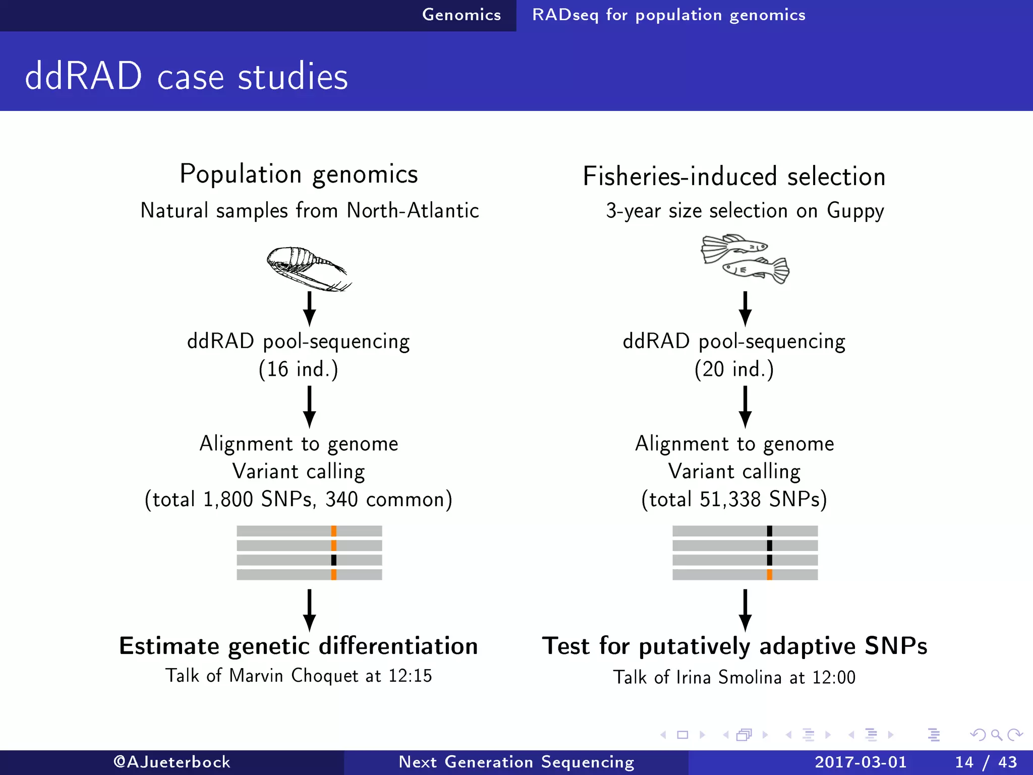 A decade into Next Generation Sequencing on marine non-model organisms ...