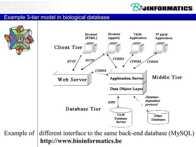 2017 biological databases_part1_vupload | PPT