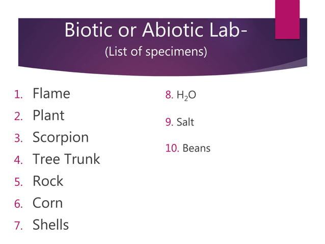 2017 biotic abiotic lab | PPT