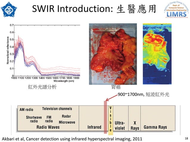 Hyperspectral imaging of bedsore and a simulation study for wound ...