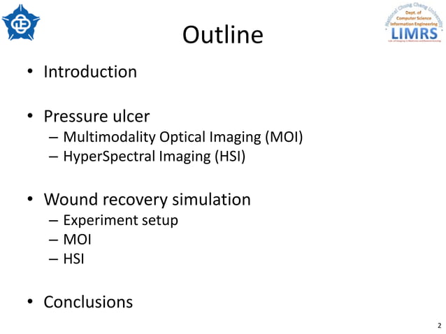 Hyperspectral imaging of bedsore and a simulation study for wound ...