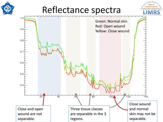 Hyperspectral imaging of bedsore and a simulation study for wound ...