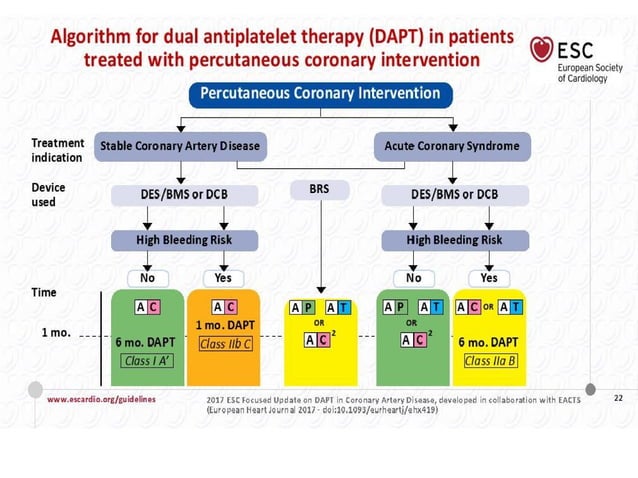 DUAL ANTIPLATELET THERAPY IN CORONARY ARTERY DISEASE. | PPT ...